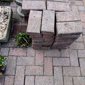 FreelyWheely: Brick paving