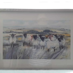 FreelyWheely: Picture