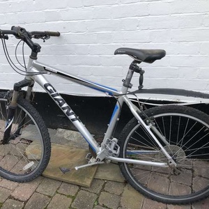 FreelyWheely: Bicycle