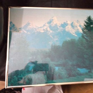 FreelyWheely: Picture