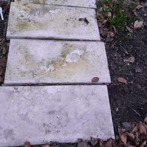 FreelyWheely: Paving slabs