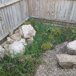 FreelyWheely: About 40 assorted rocks for rockery