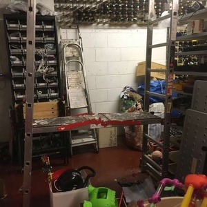 FreelyWheely: Ladder with adjustable platform