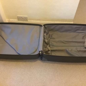 FreelyWheely: Suitcase on wheels