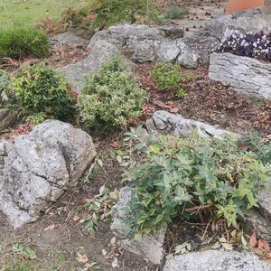 FreelyWheely: Rocks for Rockery, (East Molesey, KT8 )