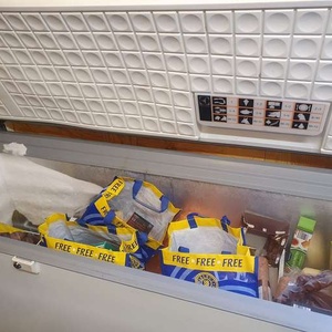 FreelyWheely: Chest freezer