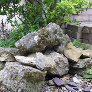 FreelyWheely: Rocks for rock garden