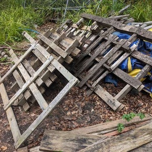 FreelyWheely: 8 Wood Pallets Various Sizes