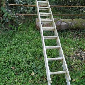 FreelyWheely: Aluminium double extension Ladder. 14 rung.