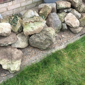 FreelyWheely: Rocks for Rockery