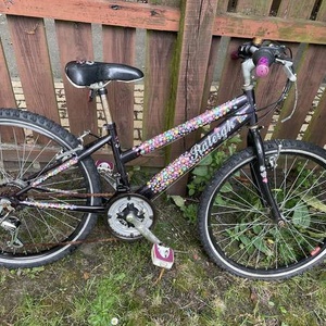 FreelyWheely: Girls/ladies mountain bike