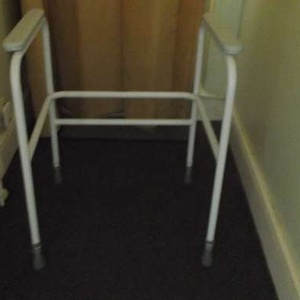 FreelyWheely: Toilet Frame