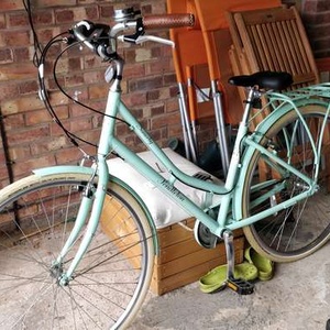 FreelyWheely: Bicycle