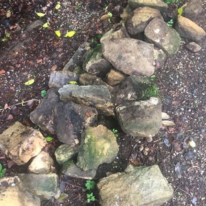 FreelyWheely: Selection of rocks and stones