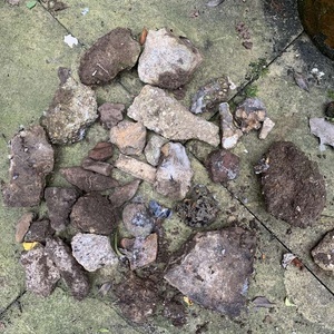 FreelyWheely: Small amount of hardcore & stones