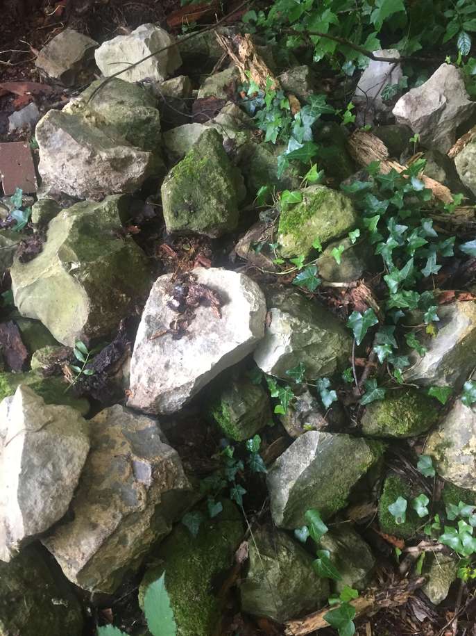 FreelyWheely: Selection of rocks and stones