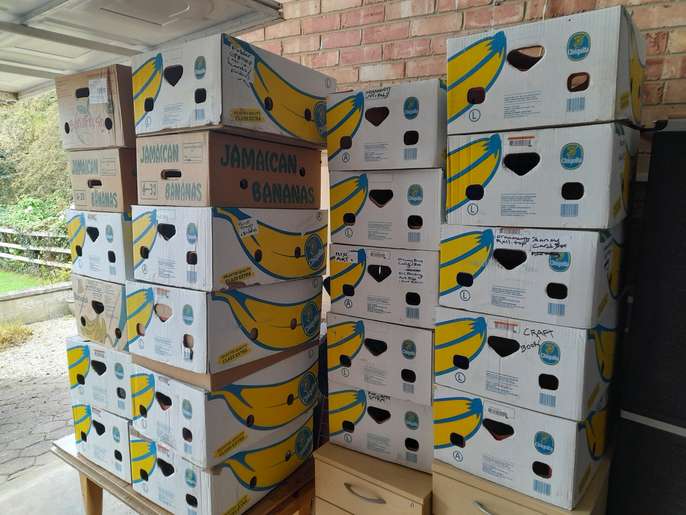FreelyWheely: Banana boxes