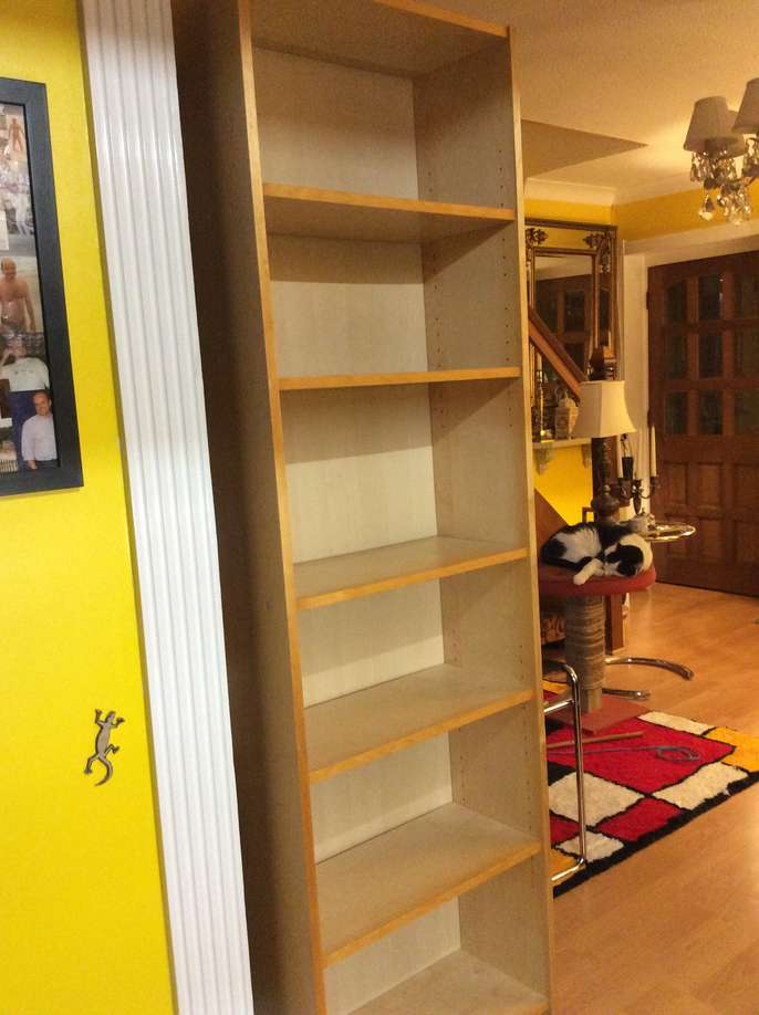 FreelyWheely: Book case