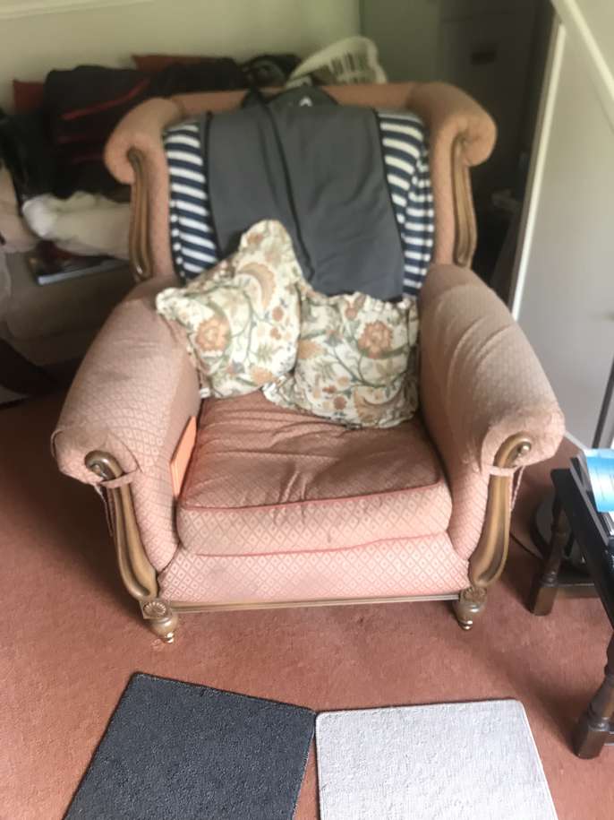 FreelyWheely: Luxury Arm Chair