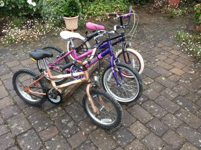 FreelyWheely: Children’s cycles