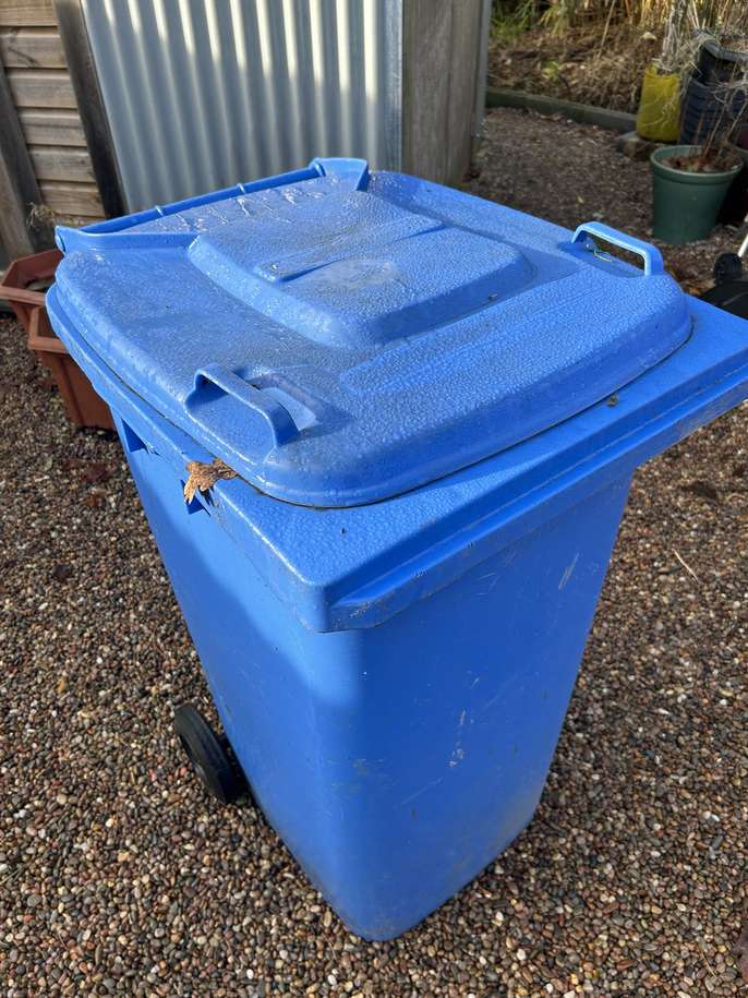 FreelyWheely: Wheely Bin