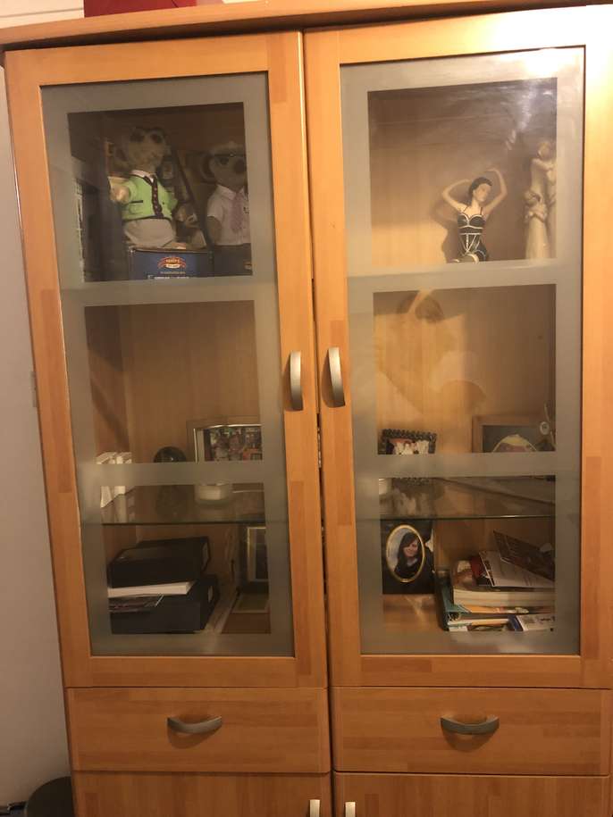 FreelyWheely: Display unit