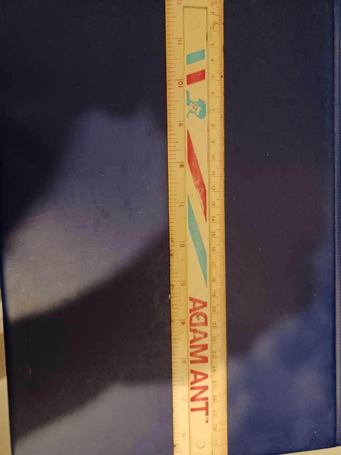 FreelyWheely: "Adam Ant" Ruler