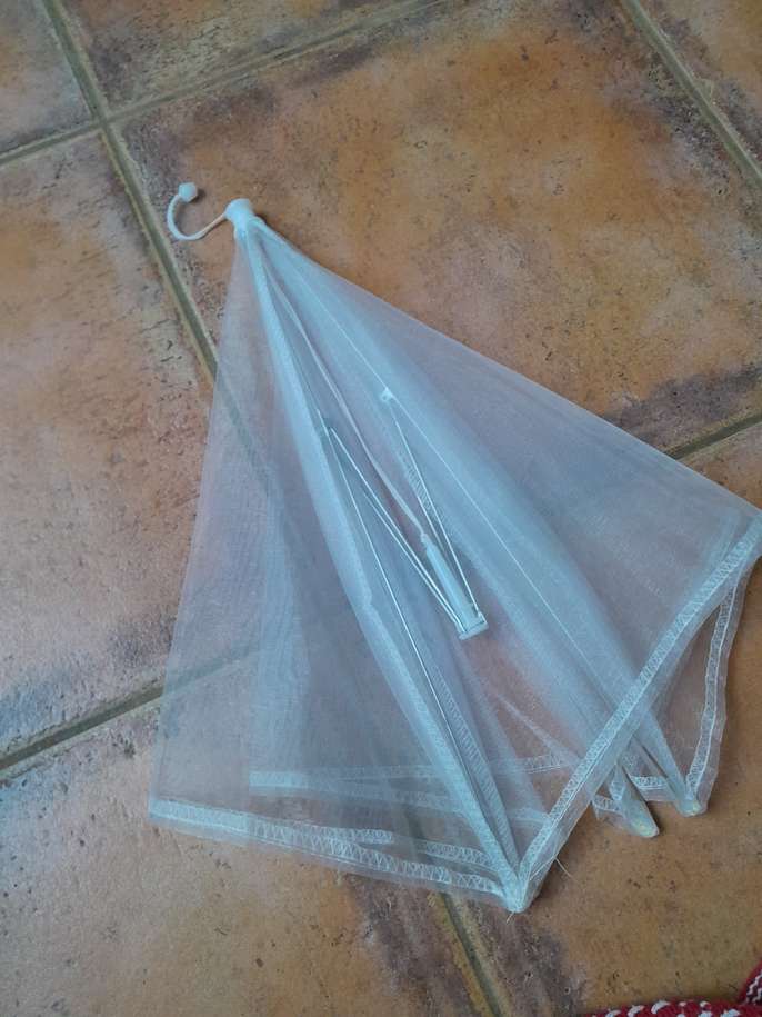 FreelyWheely: Food screen