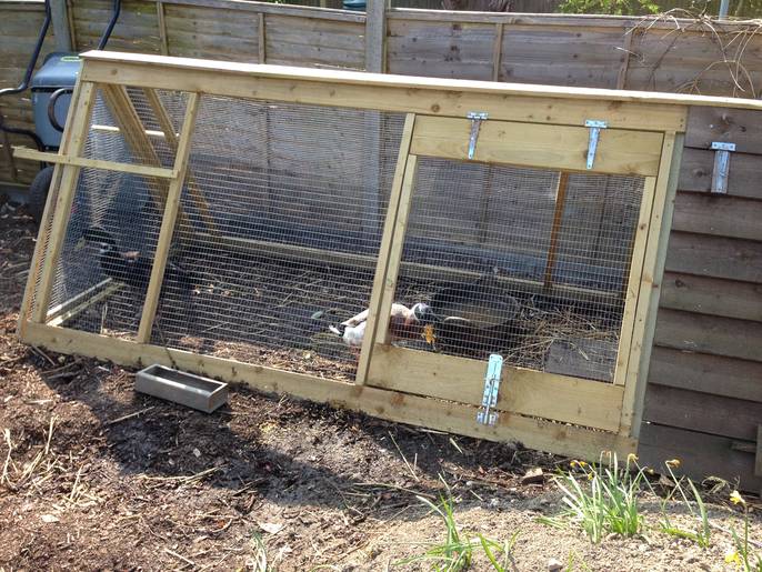 FreelyWheely: Poultry Arc and Run