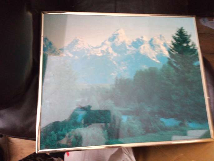 FreelyWheely: Picture