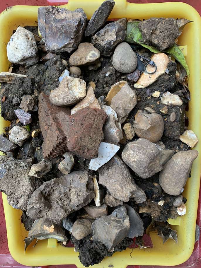 FreelyWheely: Small amount of hardcore & stones