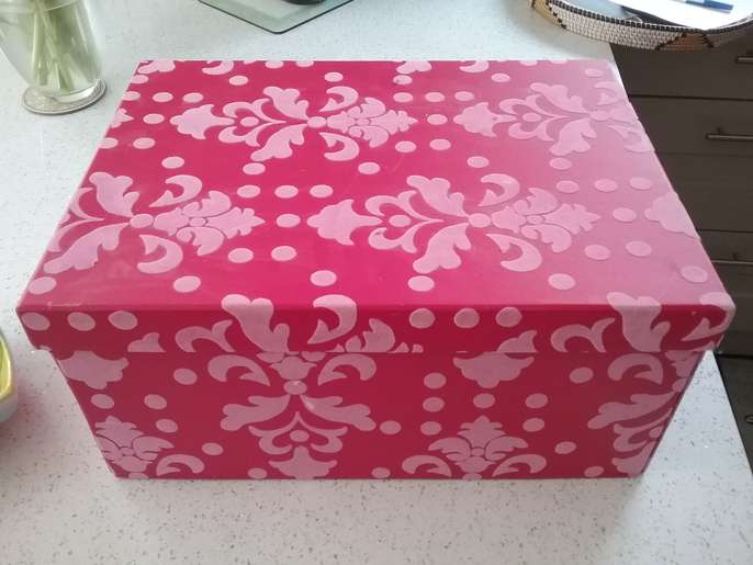FreelyWheely: Pink storage box