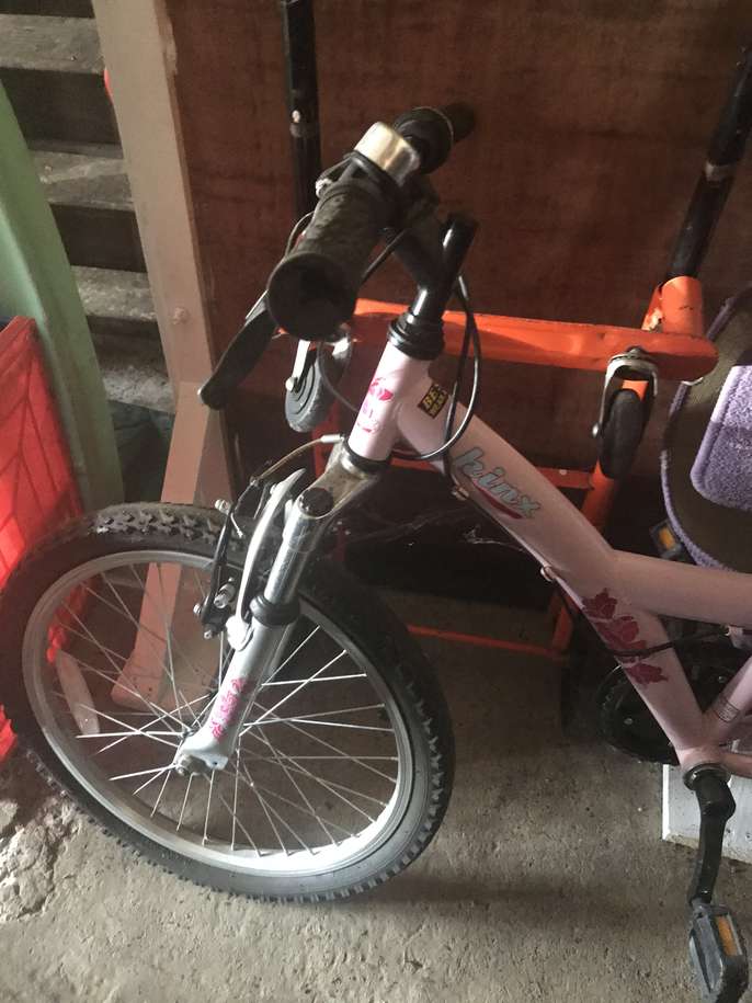 FreelyWheely: Bicycle