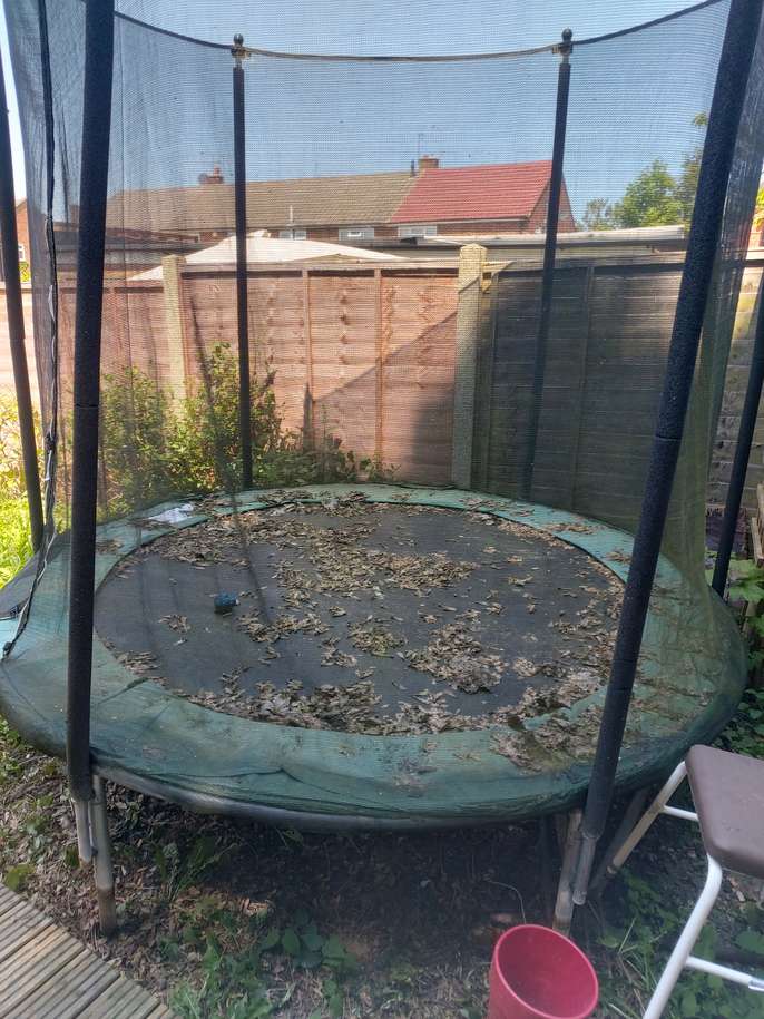 FreelyWheely: Trampoline