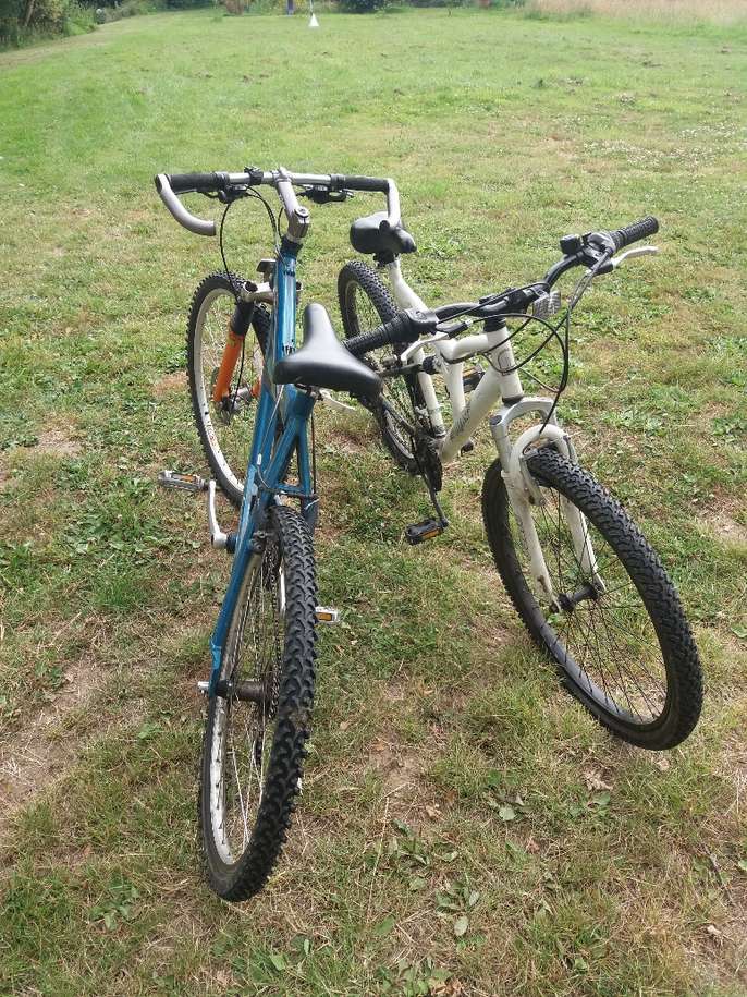 FreelyWheely: Two adult bicycles