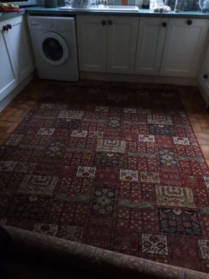 FreelyWheely Rug 9ft X 6ft