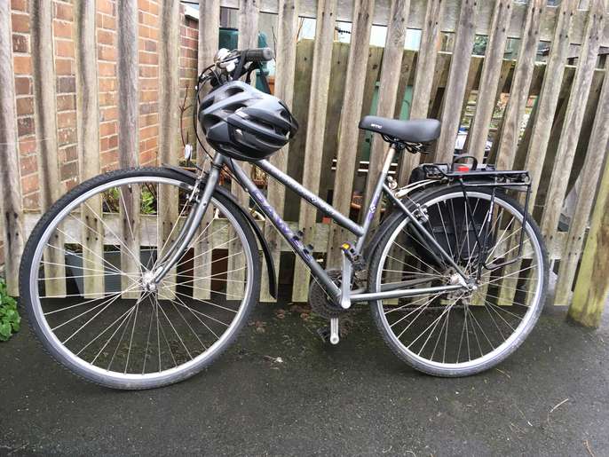 FreelyWheely: Ladies bike