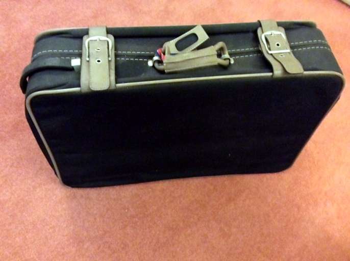 FreelyWheely: 28" Antler suitcase