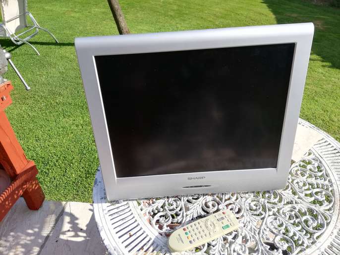 FreelyWheely: Sharp Flatscreen TV