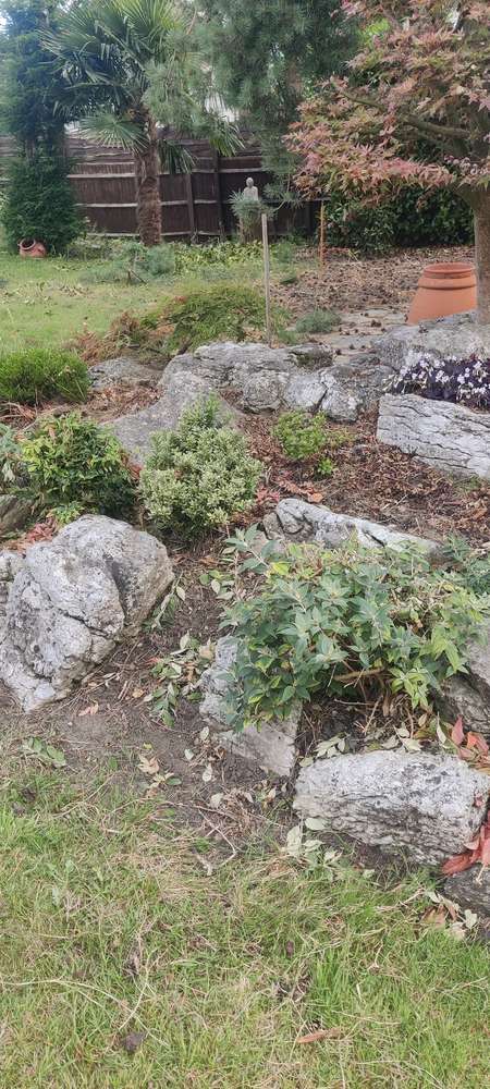 FreelyWheely: Rocks for Rockery, (East Molesey, KT8 )