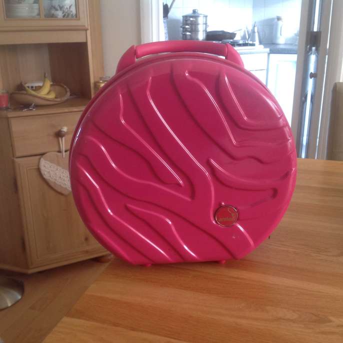 FreelyWheely: Compact Carrying Case