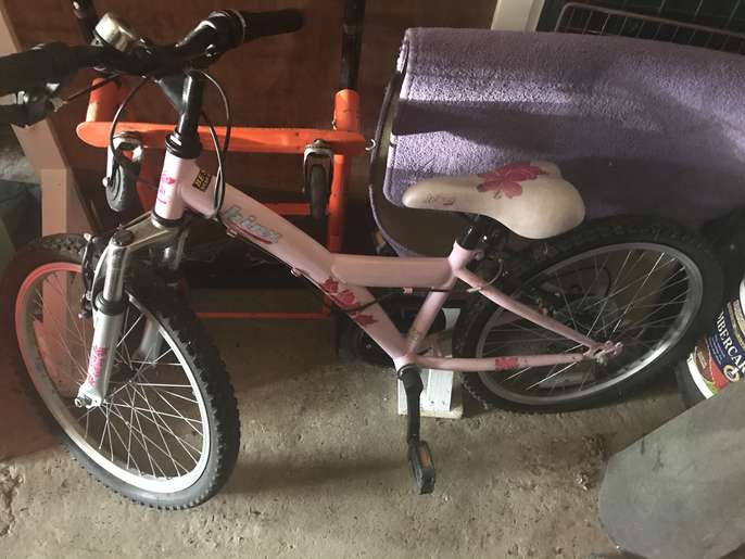 FreelyWheely: Bicycle